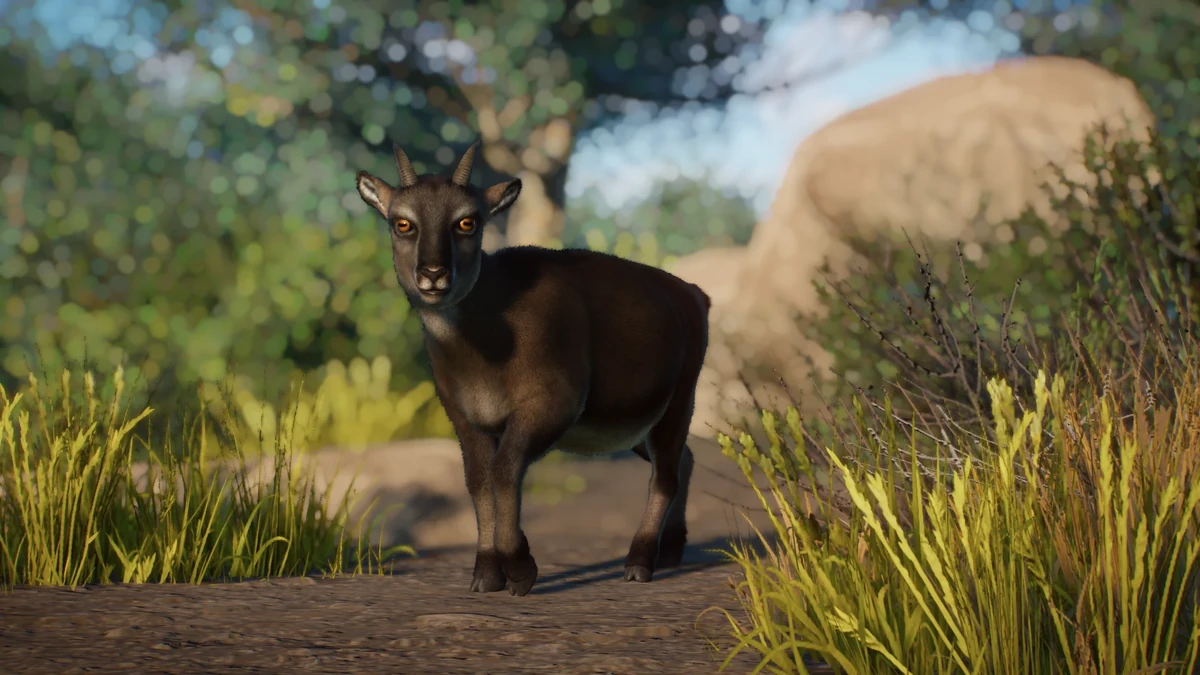 Balearic Cave Goat (Narwhaler) | Planet Zoo Modding Library Wiki | Fandom