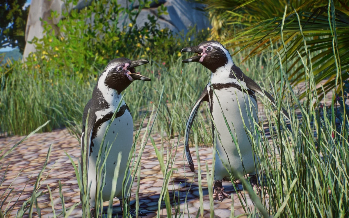 Humboldt Penguin (NicholasLionRider) | Planet Zoo Modding Library Wiki | Fandom