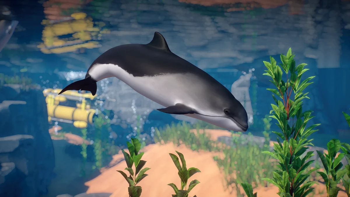 Harbour Porpoise (Bubblywums) | Planet Zoo Modding Library Wiki | Fandom