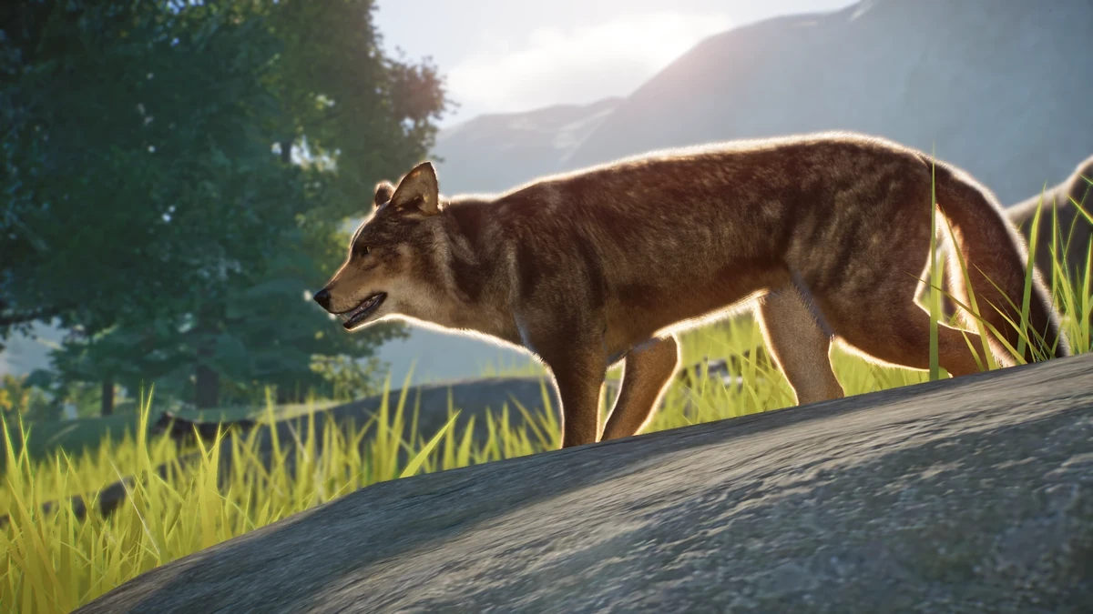 Iberian Wolf (Gabboi) | Planet Zoo Modding Library Wiki | Fandom