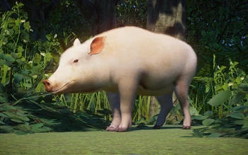 Large White Pig (LeafProductions) | Planet Zoo Modding Library Wiki | Fandom