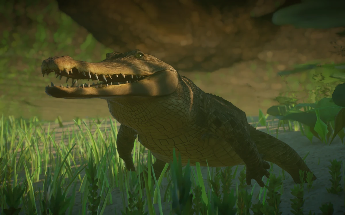 Freshwater Crocodile (MegaGamingRex) | Planet Zoo Modding Library Wiki | Fandom