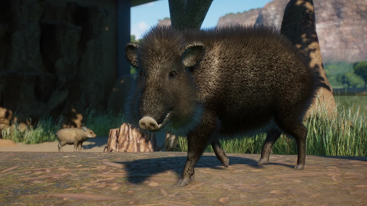 Chacoan Peccary (Bubblywums) | Planet Zoo Modding Library Wiki | Fandom