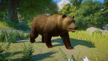 Eurasian Brown Bear (Havok1199) | Planet Zoo Modding Library Wiki | Fandom