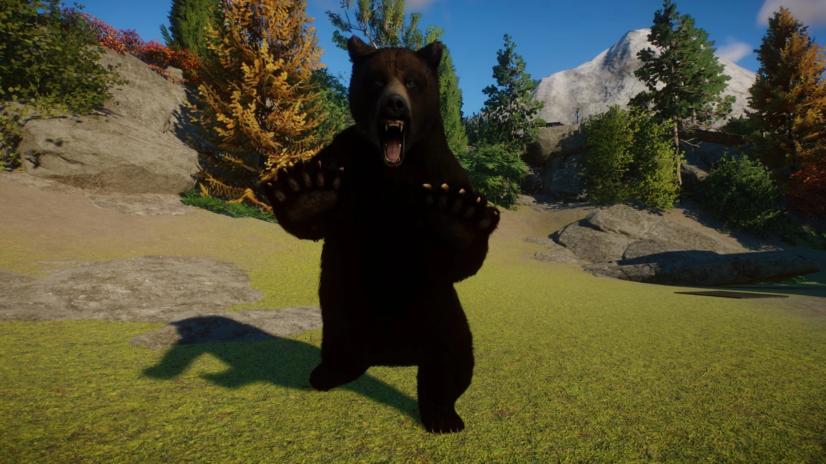 Ussuri Brown Bear (Havok1199) | Planet Zoo Modding Library Wiki | Fandom