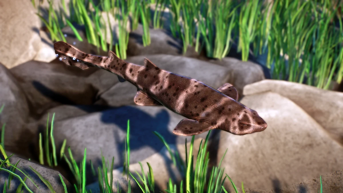 Swell Shark (Buffzoo) | Planet Zoo Modding Library Wiki | Fandom