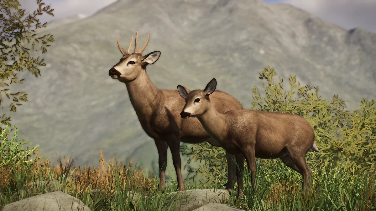 Huemul (Gabboi) | Planet Zoo Modding Library Wiki | Fandom