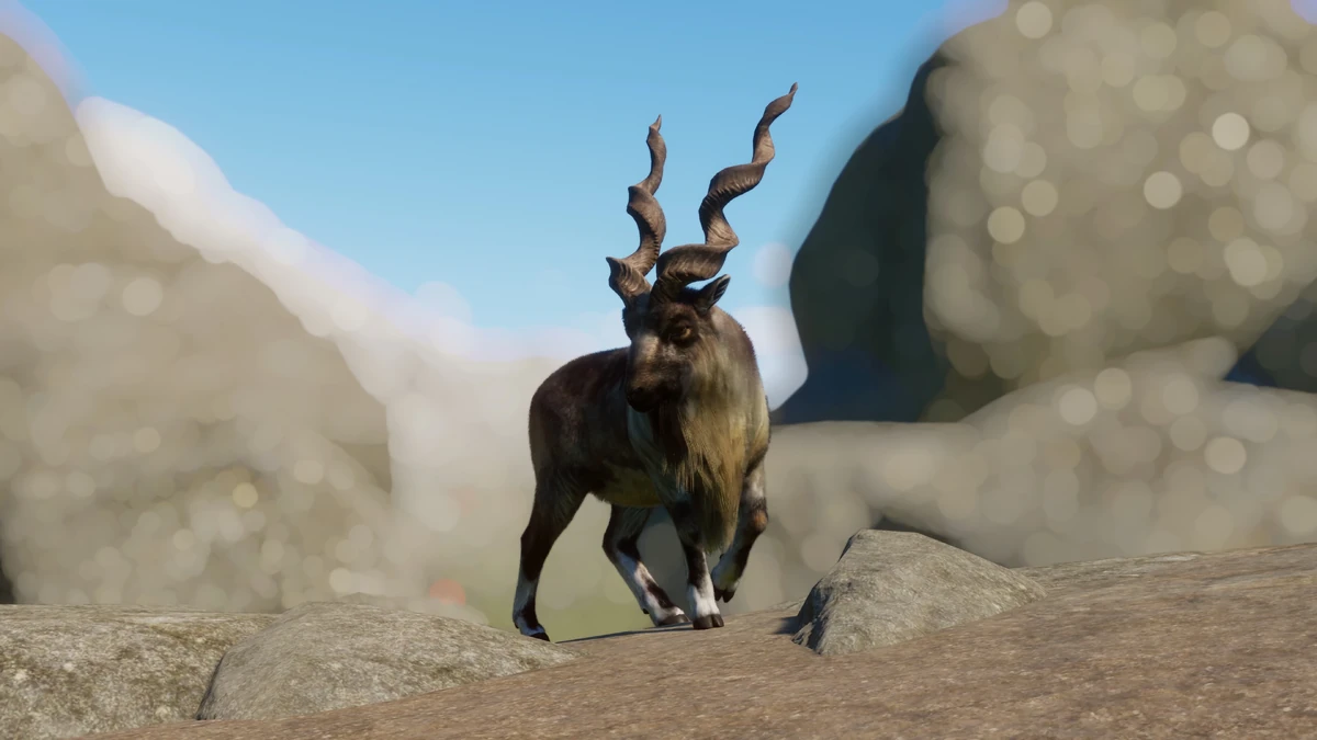 Bukharan Markhor (Narwhaler) | Planet Zoo Modding Library Wiki | Fandom