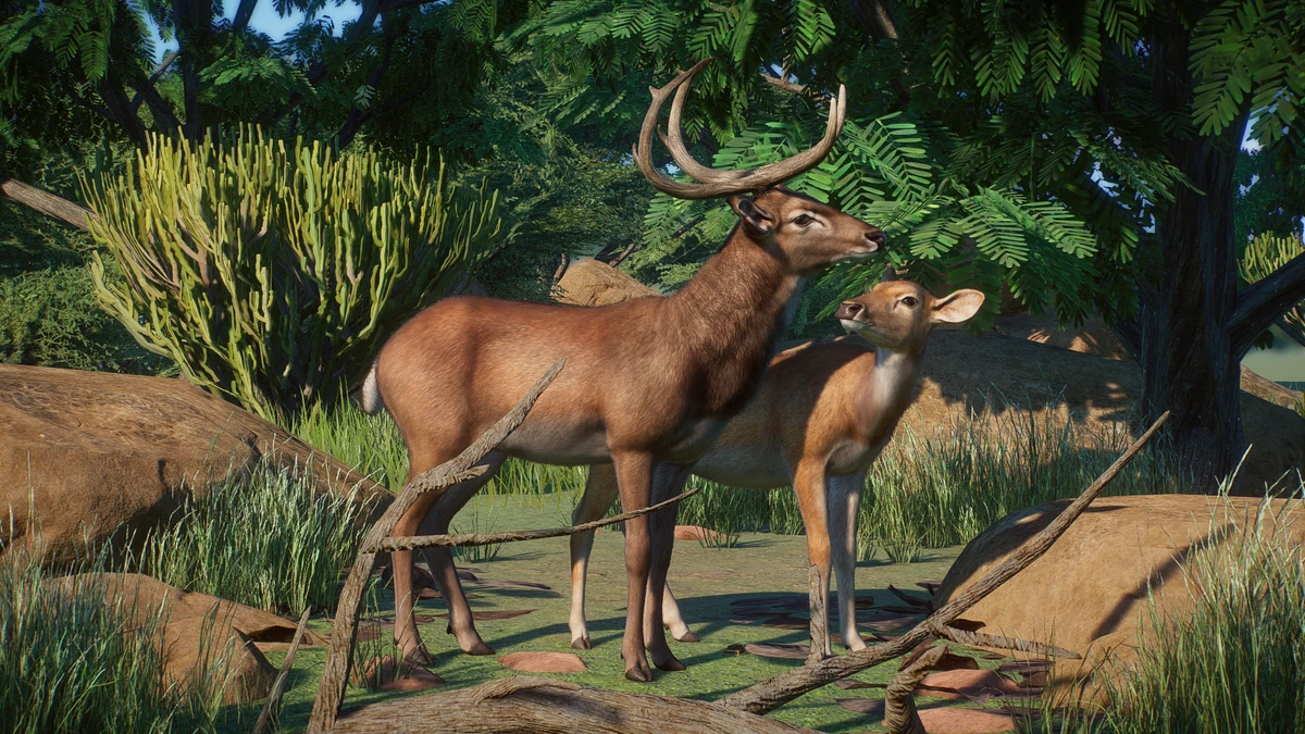 Eld's Deer (Monsoon) | Planet Zoo Modding Library Wiki | Fandom