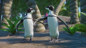 Galapagos Penguin (brett0007) | Planet Zoo Modding Library Wiki | Fandom