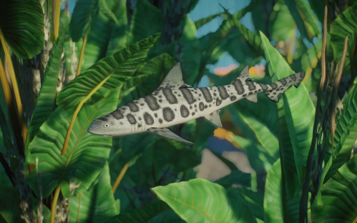 Leopard Shark (Buffzoo) | Planet Zoo Modding Library Wiki | Fandom
