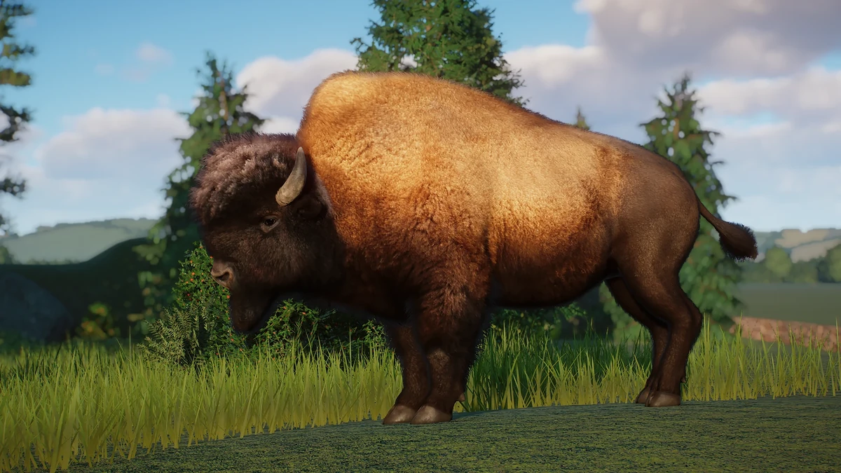 Wood Bison (Bubblywums) | Planet Zoo Modding Library Wiki | Fandom