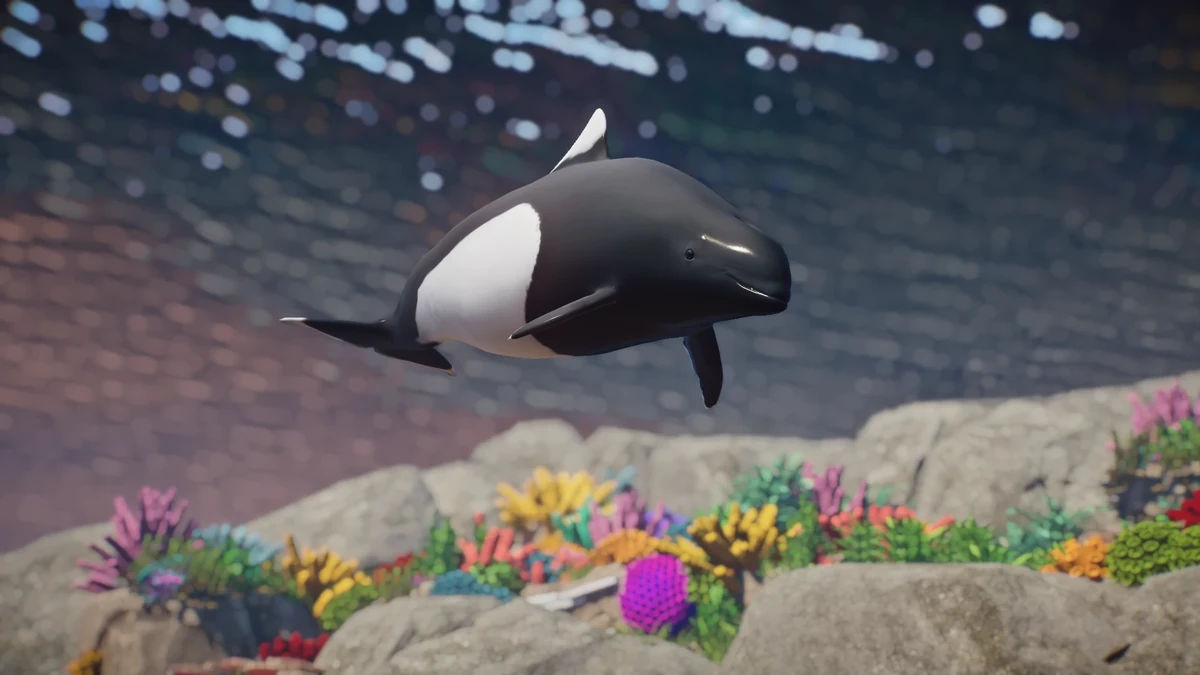 Dall's Porpoise (Bubblywums) | Planet Zoo Modding Library Wiki | Fandom