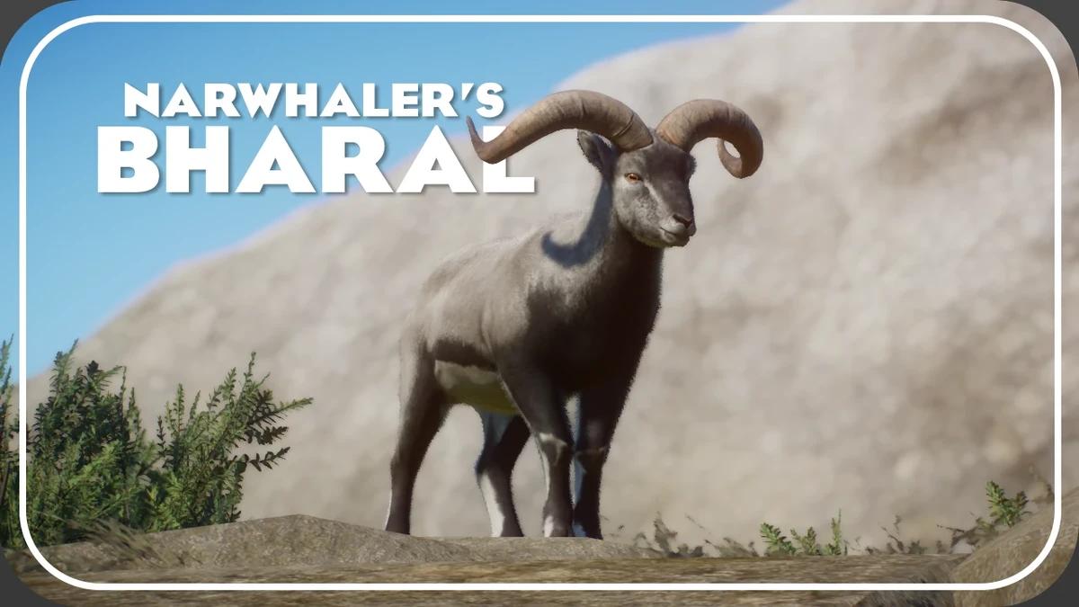 Bharal (Narwhaler) | Planet Zoo Modding Library Wiki | Fandom