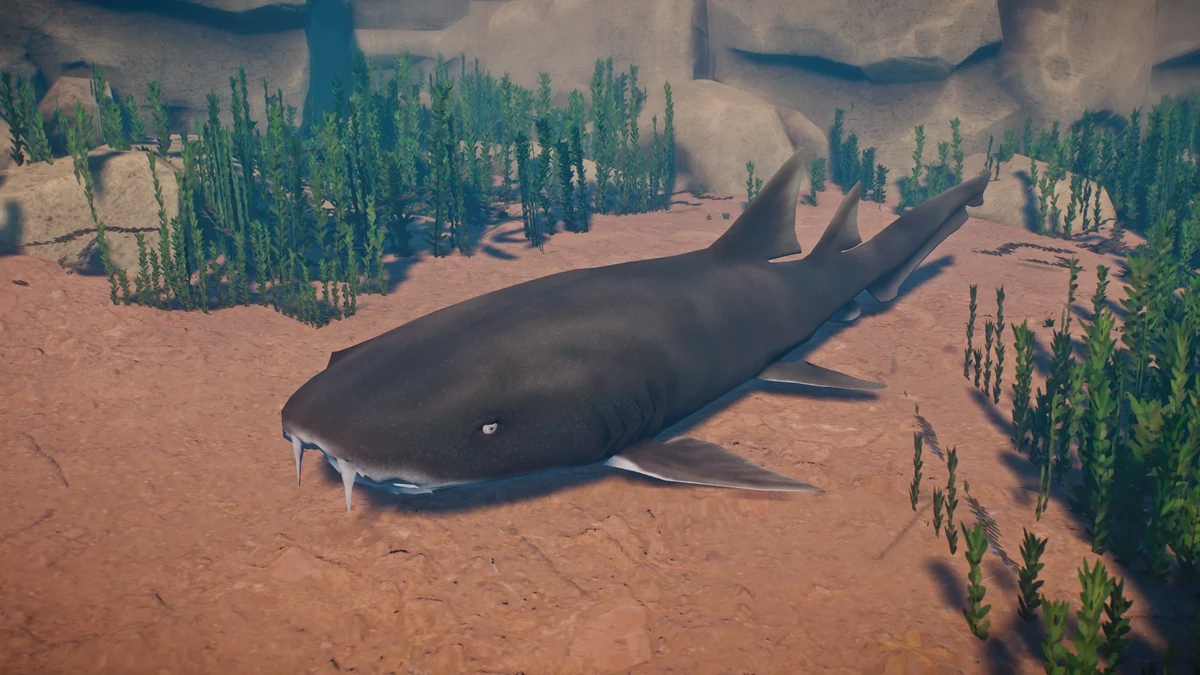 Nurse Shark (Buffzoo) | Planet Zoo Modding Library Wiki | Fandom