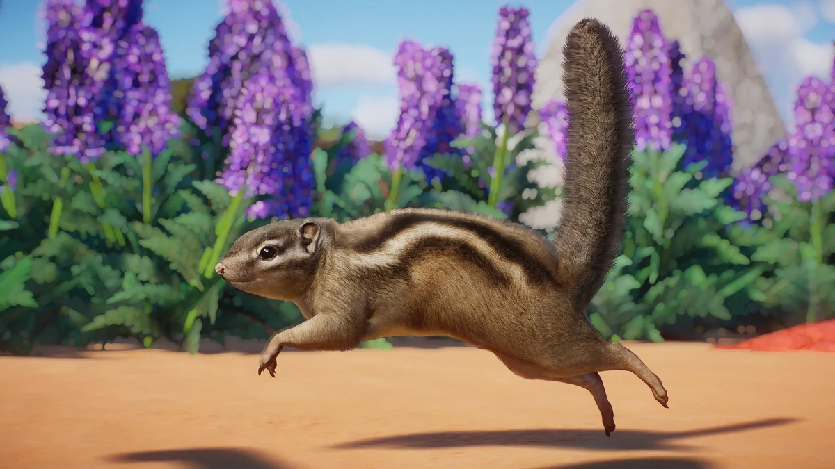 Eastern Chipmunk (Bubblywums) | Planet Zoo Modding Library Wiki | Fandom