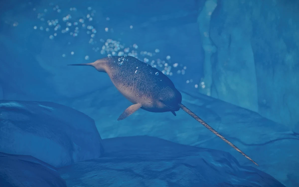 Narwhal (Buffzoo) | Planet Zoo Modding Library Wiki | Fandom