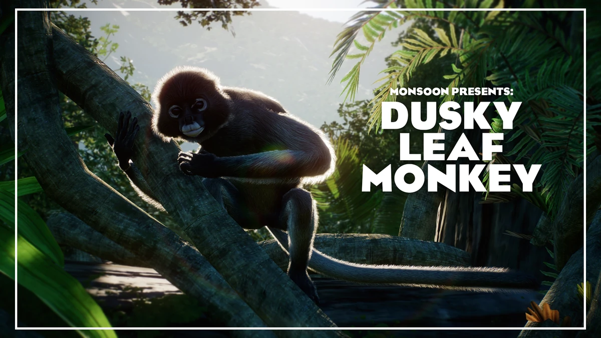 Dusky Leaf Monkey (Monsoon) | Planet Zoo Modding Library Wiki | Fandom