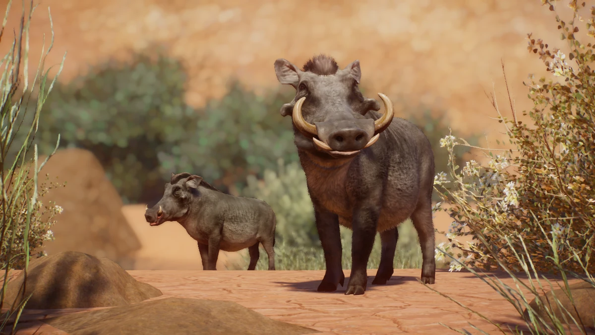 Desert Warthog (Narwhaler) | Planet Zoo Modding Library Wiki | Fandom