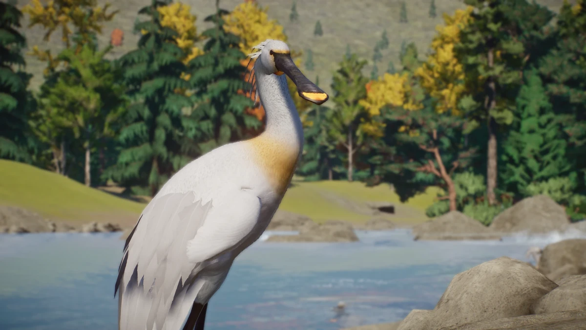 Eurasian Spoonbill (Bubblywums) | Planet Zoo Modding Library Wiki | Fandom