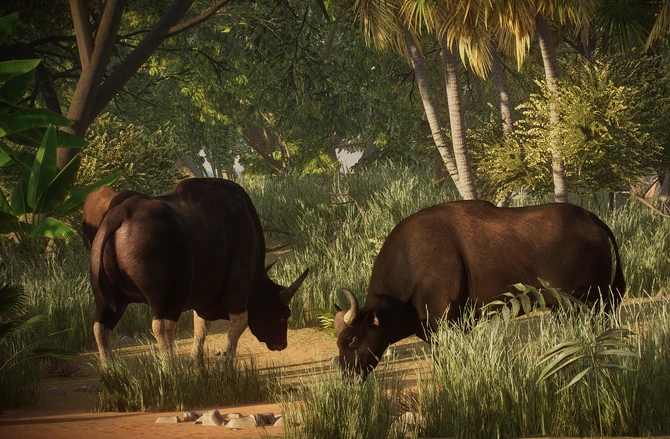 Planet Zoo Modding Library Wiki | Fandom