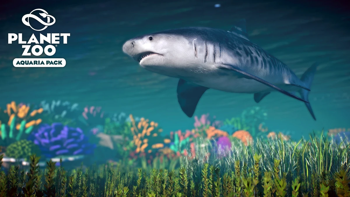 Tiger Shark (Bubblywums) | Planet Zoo Modding Library Wiki | Fandom