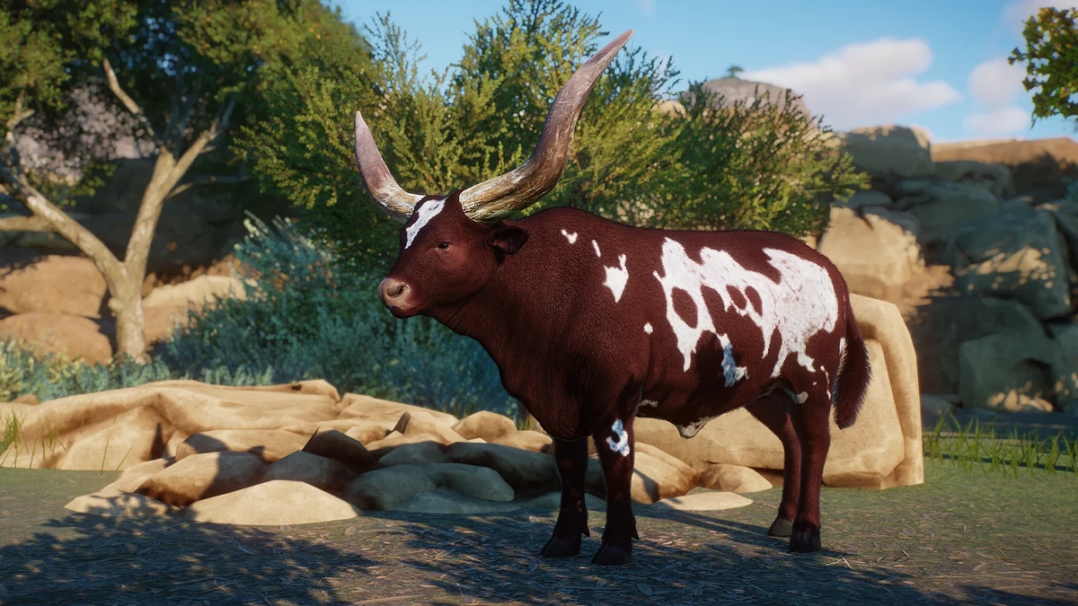 Ankole-Watusi (Bubblywums) | Planet Zoo Modding Library Wiki | Fandom