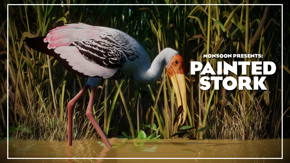 Painted Stork (Monsoon) | Planet Zoo Modding Library Wiki | Fandom