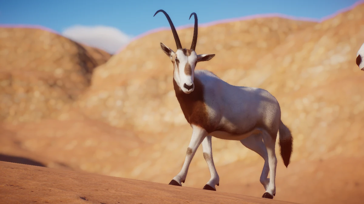 Scimitar Oryx (Narwhaler) | Planet Zoo Modding Library Wiki | Fandom