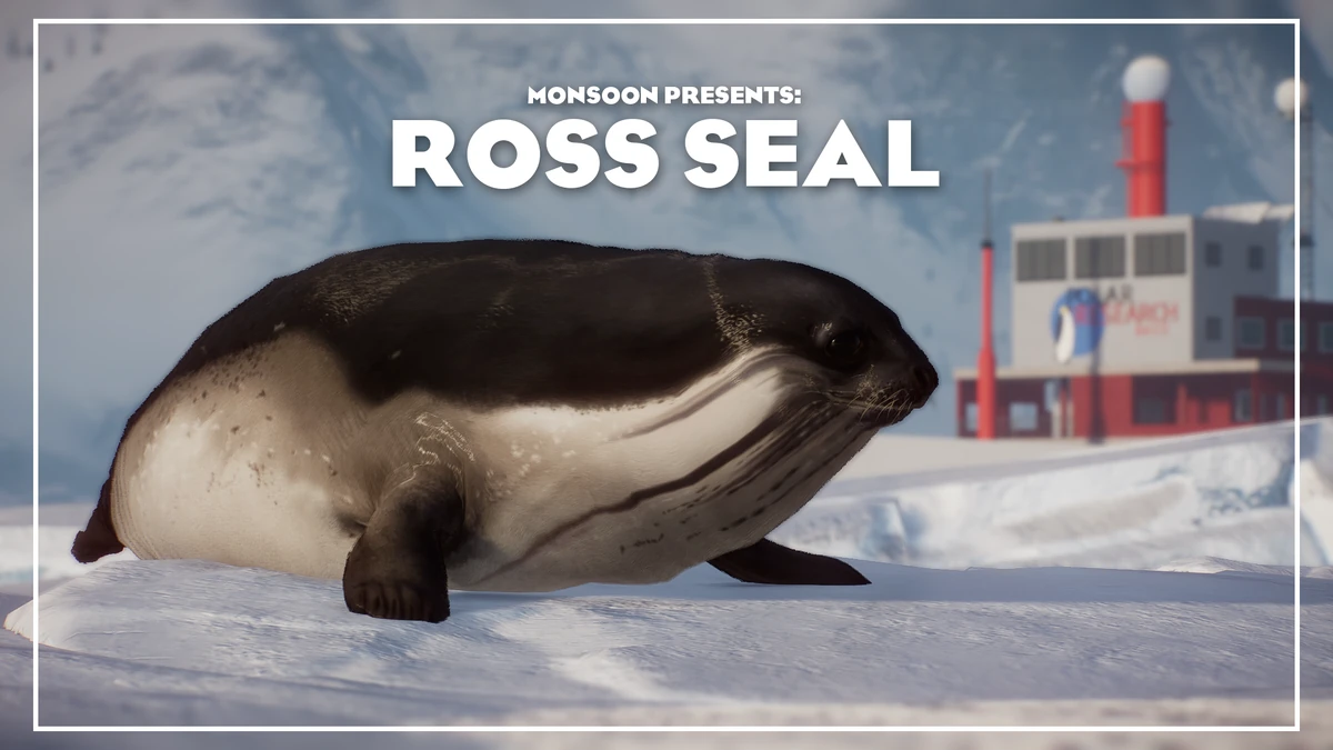 Ross Seal (Monsoon) | Planet Zoo Modding Library Wiki | Fandom
