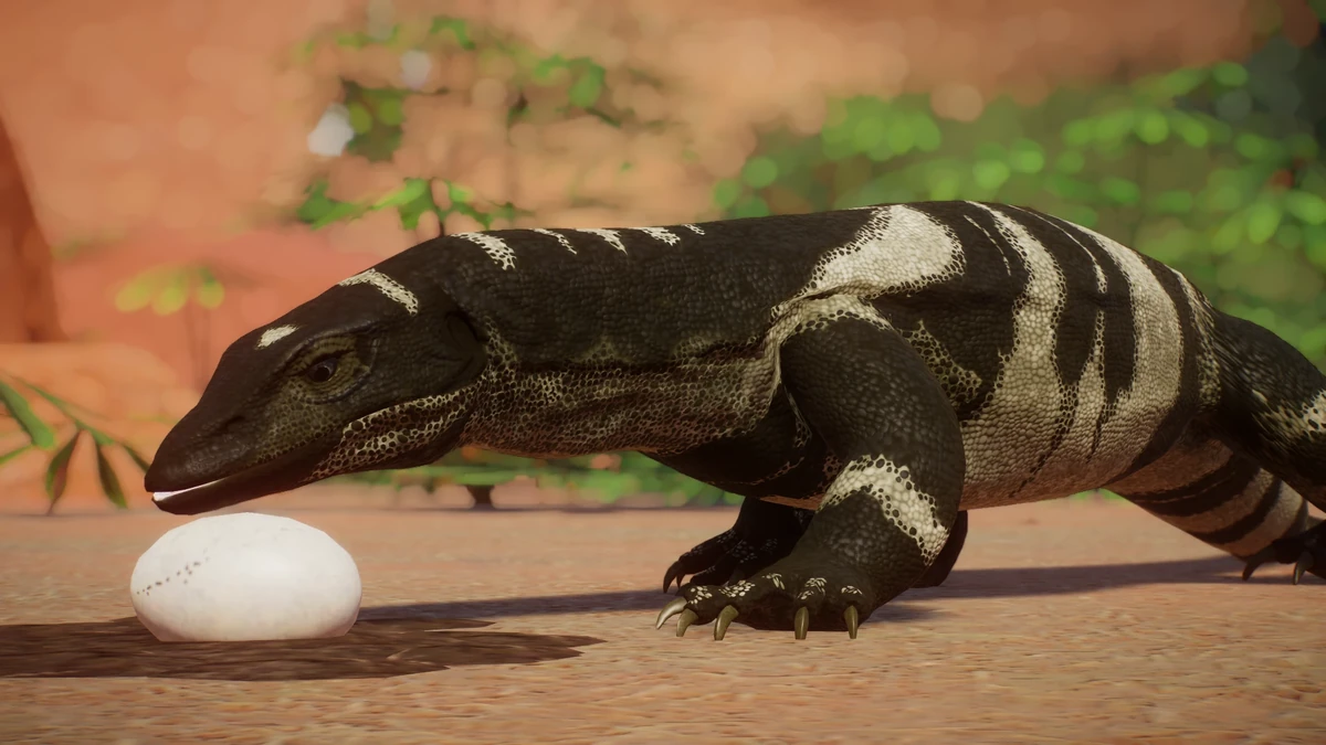 Lace Monitor (Incognewto) | Planet Zoo Modding Library Wiki | Fandom