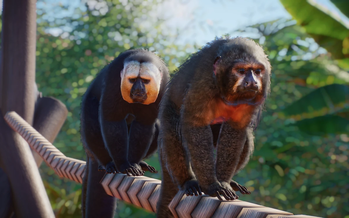 White-Faced Saki (Marc) | Planet Zoo Modding Library Wiki | Fandom