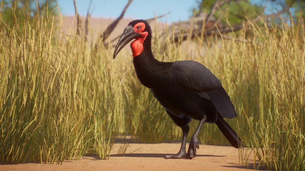 Southern Ground Hornbill (Narwhaler) | Planet Zoo Modding Library Wiki | Fandom