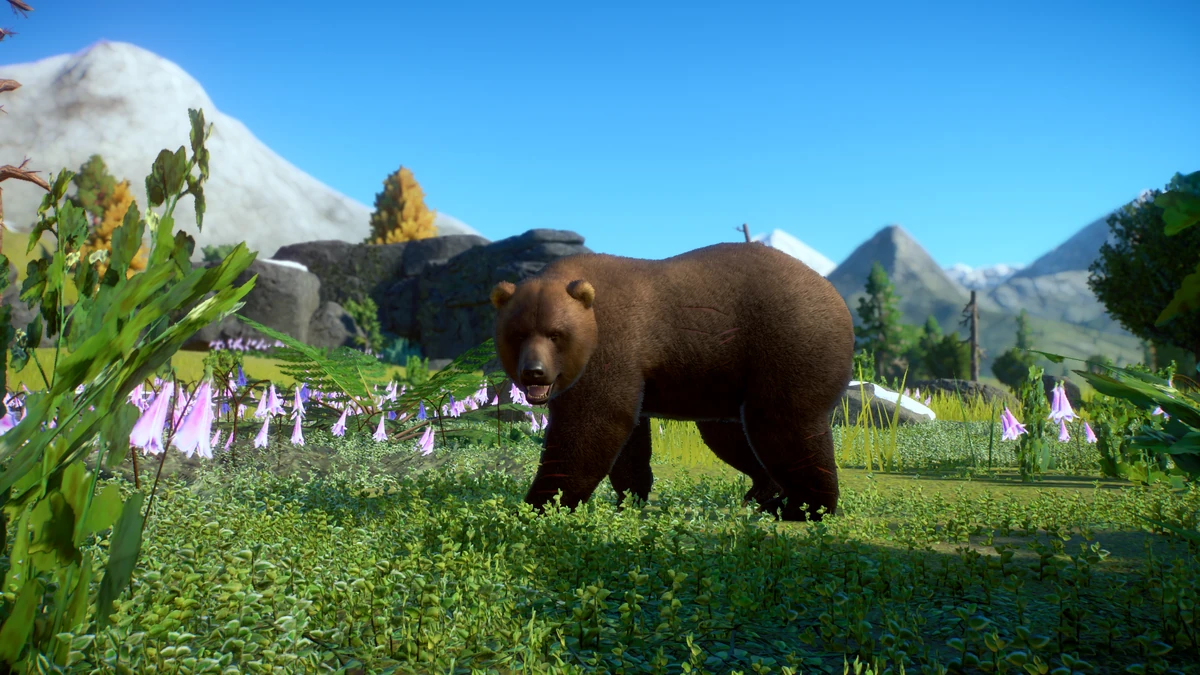 Kamchatka Brown Bear (Havok1199) | Planet Zoo Modding Library Wiki | Fandom
