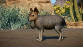 Patagonian Mara (Bubblywums) | Planet Zoo Modding Library Wiki | Fandom