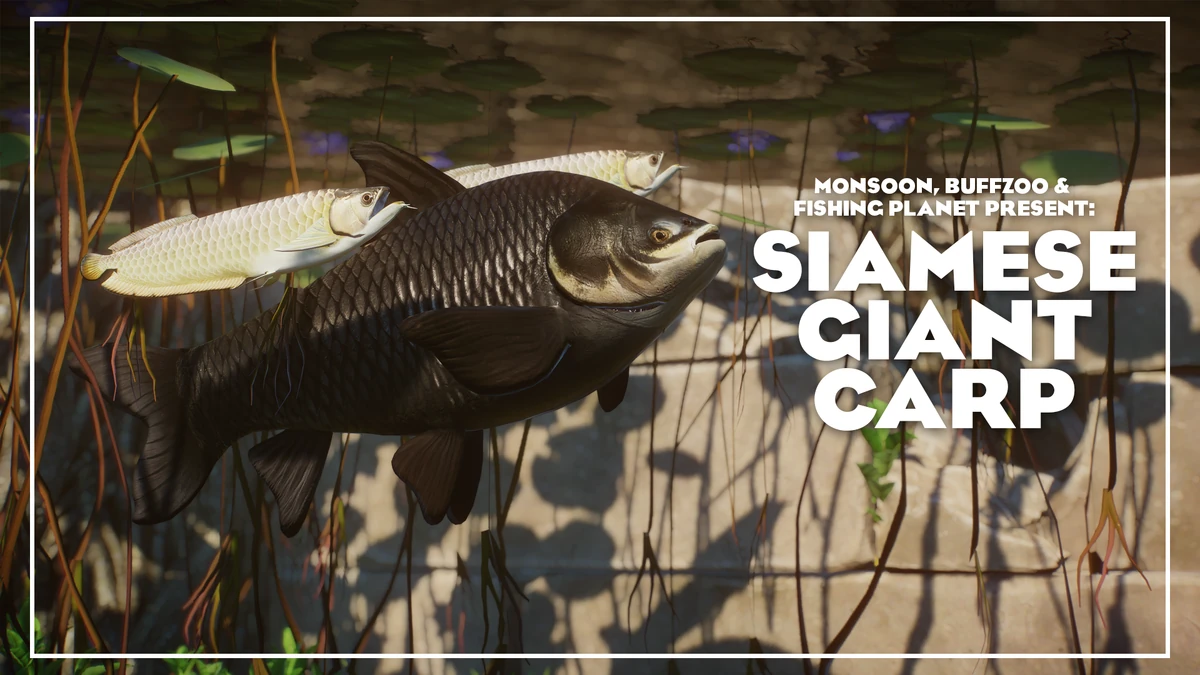 Siamese Giant Carp (Monsoon) | Planet Zoo Modding Library Wiki | Fandom