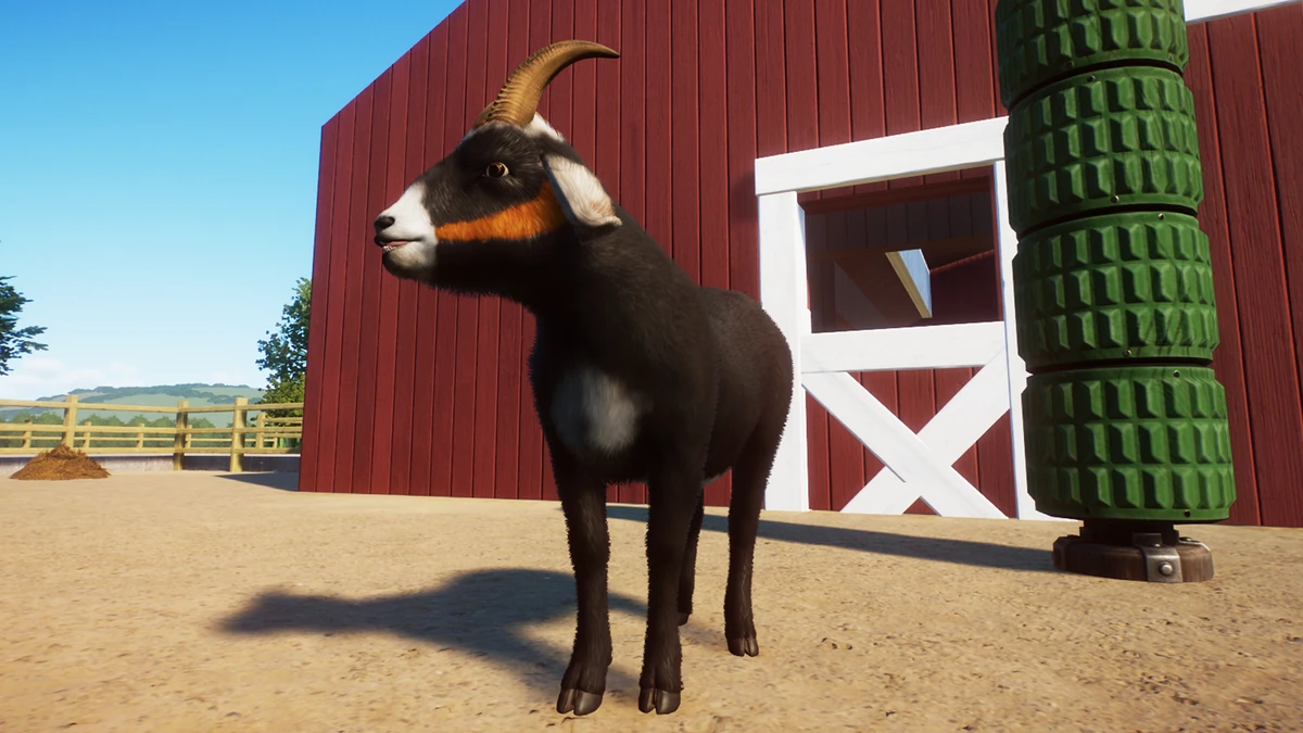 Nubian Goat (NicholasLionRider) | Planet Zoo Modding Library Wiki | Fandom