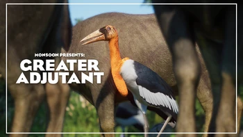 Greater Adjutant (Monsoon) | Planet Zoo Modding Library Wiki | Fandom