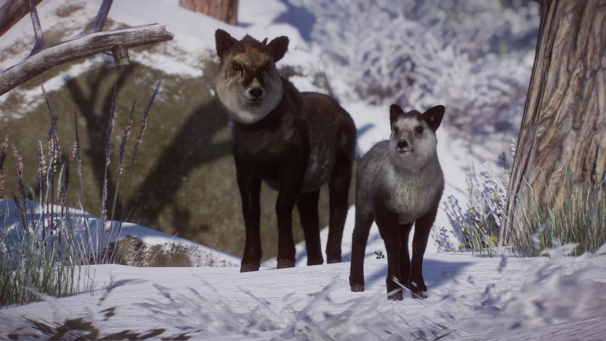 Japanese Serow (Narwhaler) | Planet Zoo Modding Library Wiki | Fandom