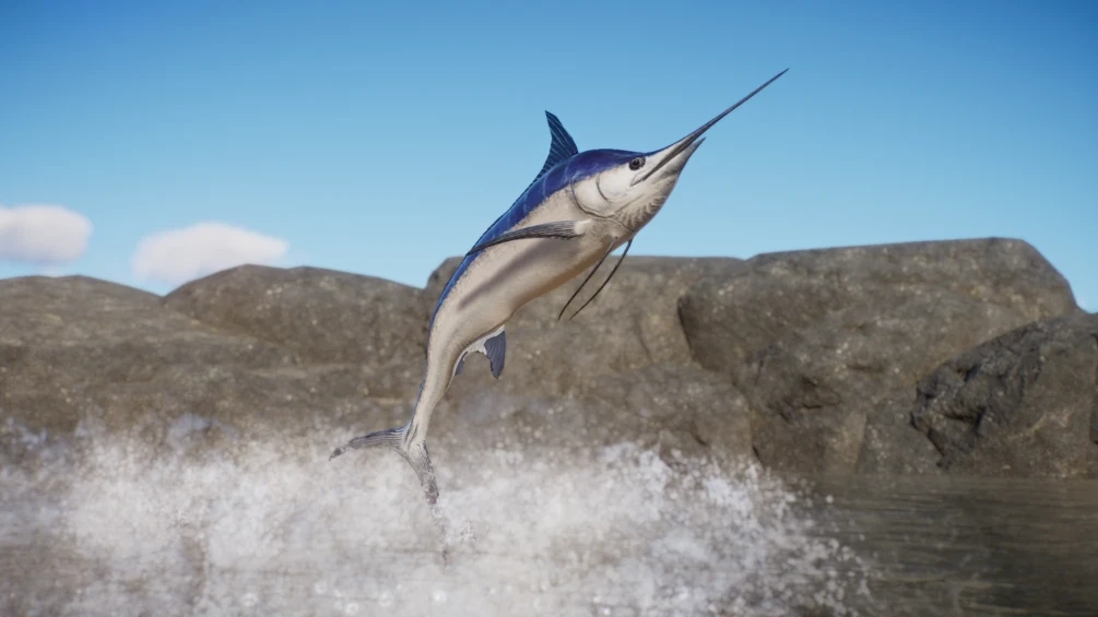Atlantic Blue Marlin (Buffzoo) | Planet Zoo Modding Library Wiki | Fandom