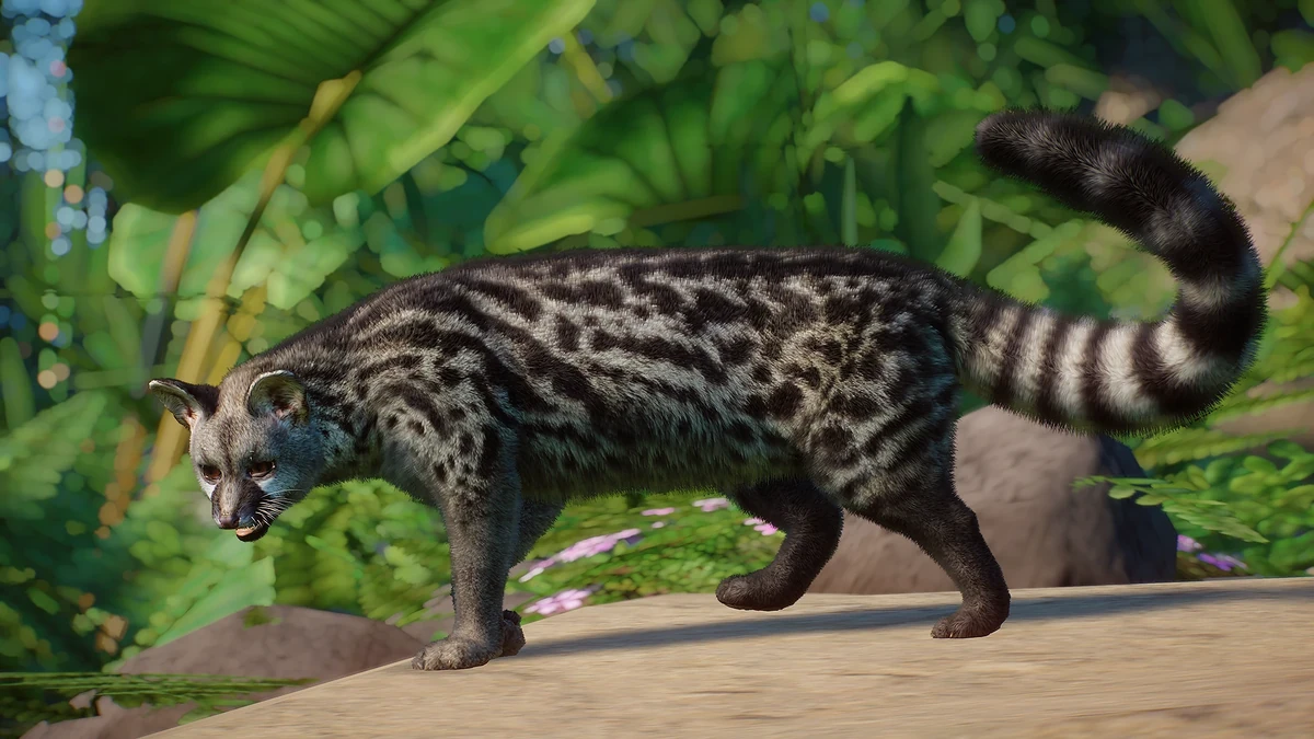 Common Genet (Bubblywums) | Planet Zoo Modding Library Wiki | Fandom