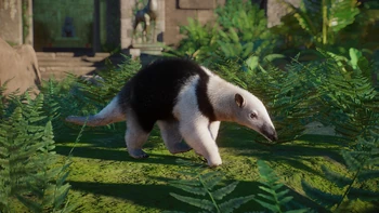 Southern Tamandua (Bubblywums) | Planet Zoo Modding Library Wiki | Fandom