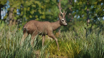 Andalusian Roe Deer (Narwhaler) | Planet Zoo Modding Library Wiki | Fandom