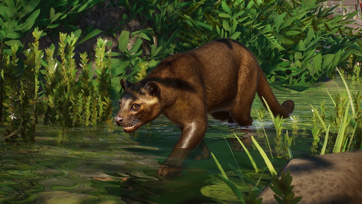 Fossa (Bubblywums) | Planet Zoo Modding Library Wiki | Fandom