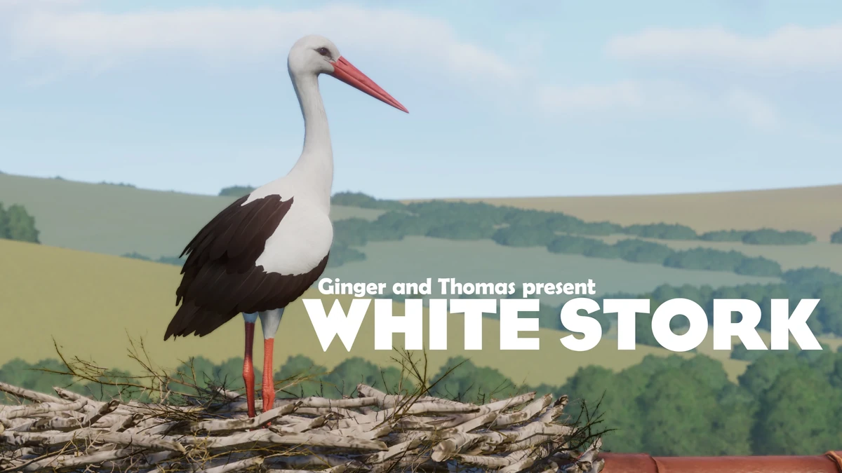 White Stork (GingerToast) | Planet Zoo Modding Library Wiki | Fandom