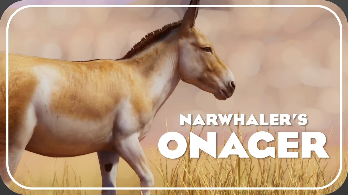 Onager (Narwhaler) | Planet Zoo Modding Library Wiki | Fandom
