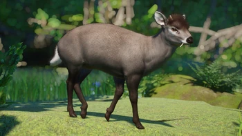 Tufted Deer (Bubblywums) | Planet Zoo Modding Library Wiki | Fandom