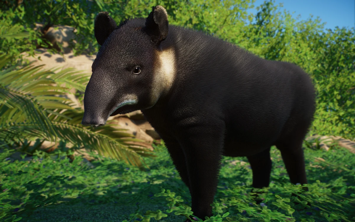 Mountain Tapir (LeafProductions) | Planet Zoo Modding Library Wiki | Fandom