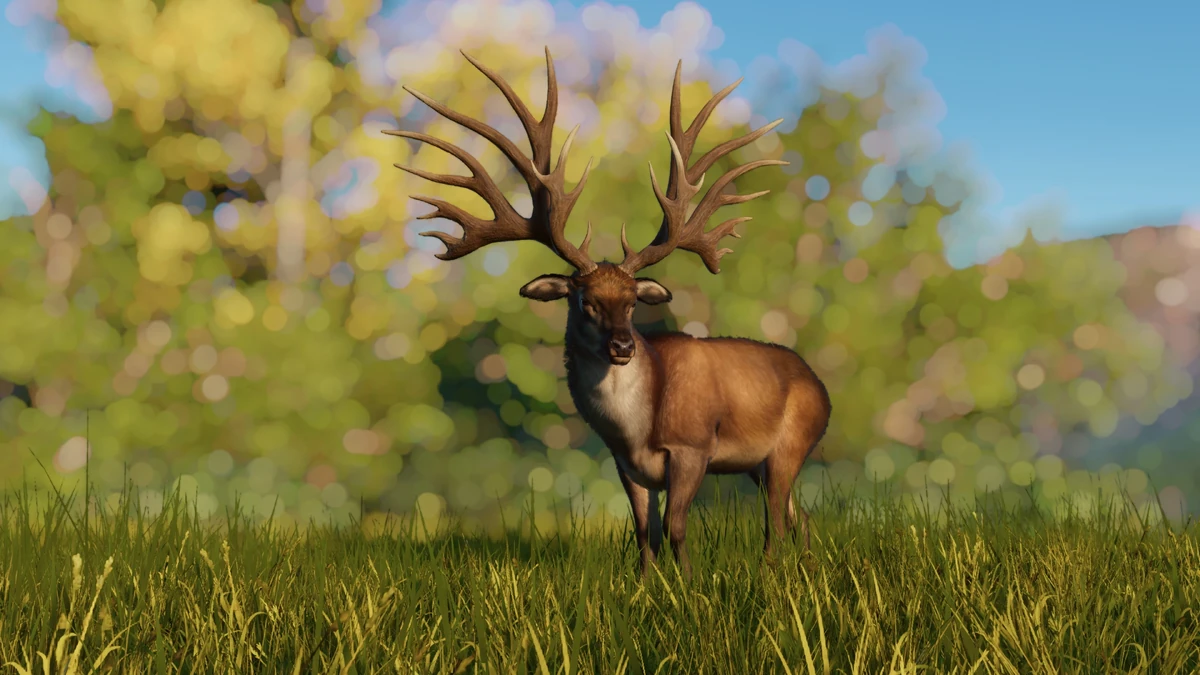 Bush-Antlered Deer (Narwhaler) | Planet Zoo Modding Library Wiki | Fandom