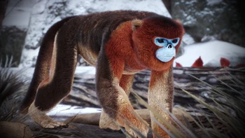 Golden Snub-Nosed Monkey (Monsoon) | Planet Zoo Modding Library Wiki | Fandom